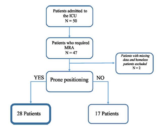 RAMR - Volume 23 Number 1 - Impact of the prone positioning in patients ...