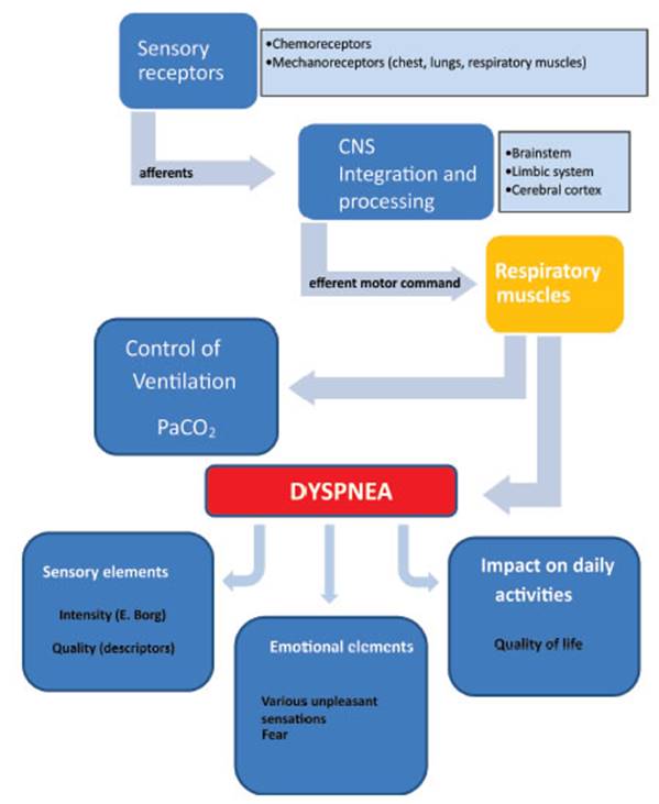 RAMR - Volume 23 Number 2 - Series on Dyspnea. Part 1. Definitions ...