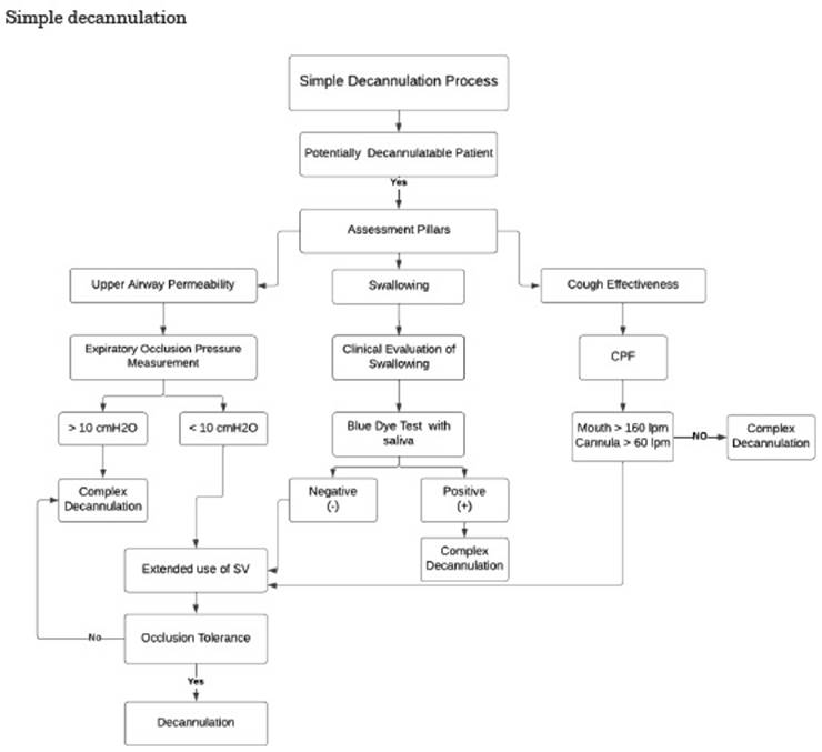 RAMR - Volume 25 Number 1 - Decannulation in a Tracheostomized Patient ...